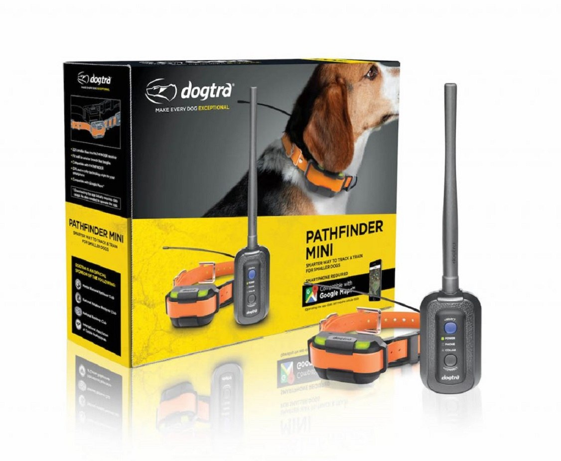 pologar > Dogtra Pathfinder mini GPS dla psa zasięg do 5 km